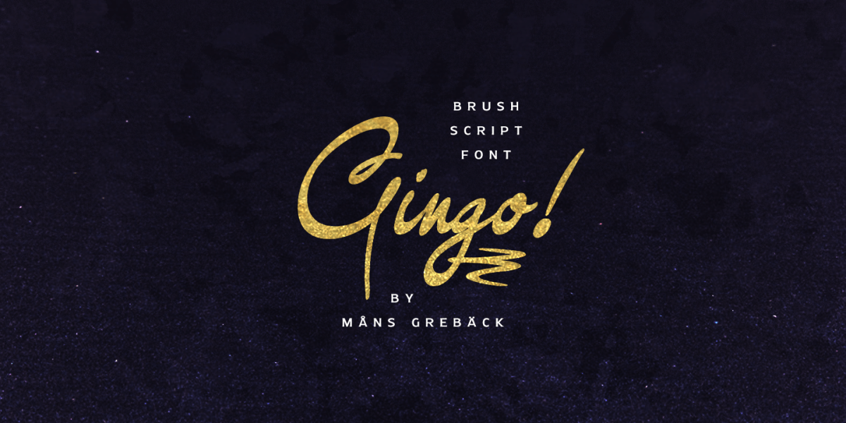 Gingo PERSONAL USE Font Family · 1001 Fonts
