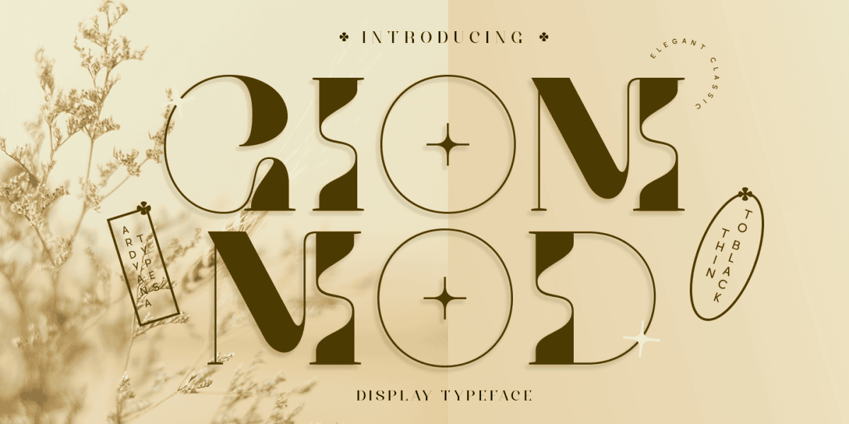 Giom Mod Font · 1001 Fonts