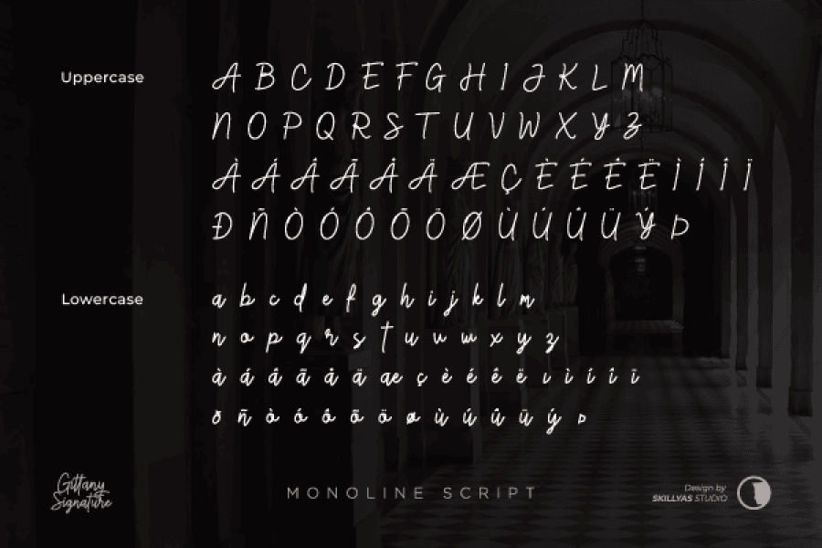 Gittany Signature Font · 1001 Fonts