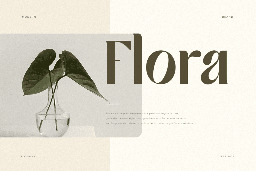 Glamour Lifestyle Font · 1001 Fonts
