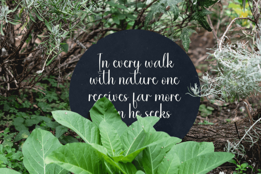 Good Nature Demo Font · 1001 Fonts