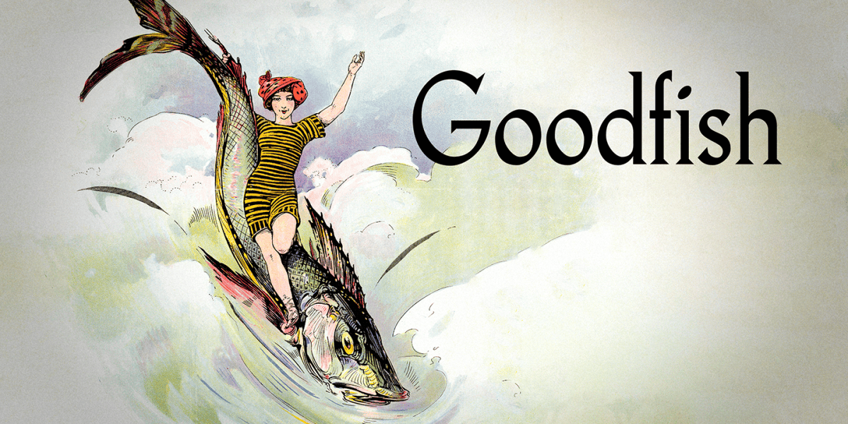 Goodfish Font Family · 1001 Fonts