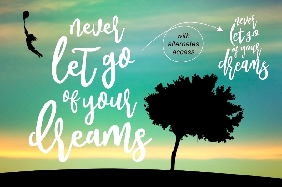 Goodies Font Family · 1001 Fonts