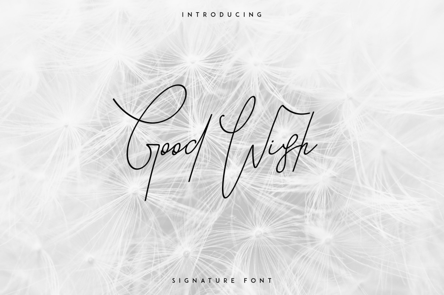 GoodWish Font · 1001 Fonts