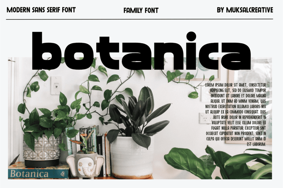 Graham Font · 1001 Fonts