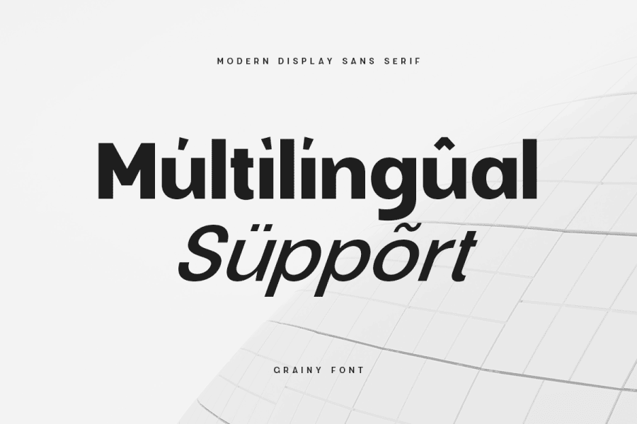 Grainy Font · 1001 Fonts