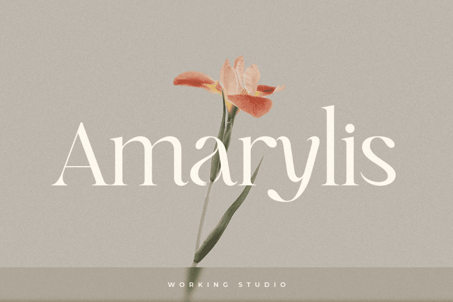 Gray Font · 1001 Fonts