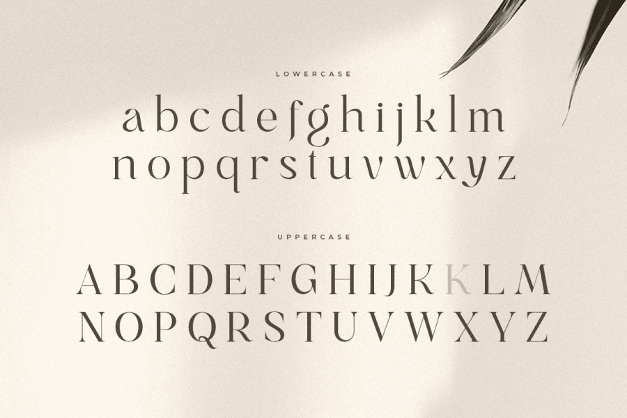 Gray Font · 1001 Fonts