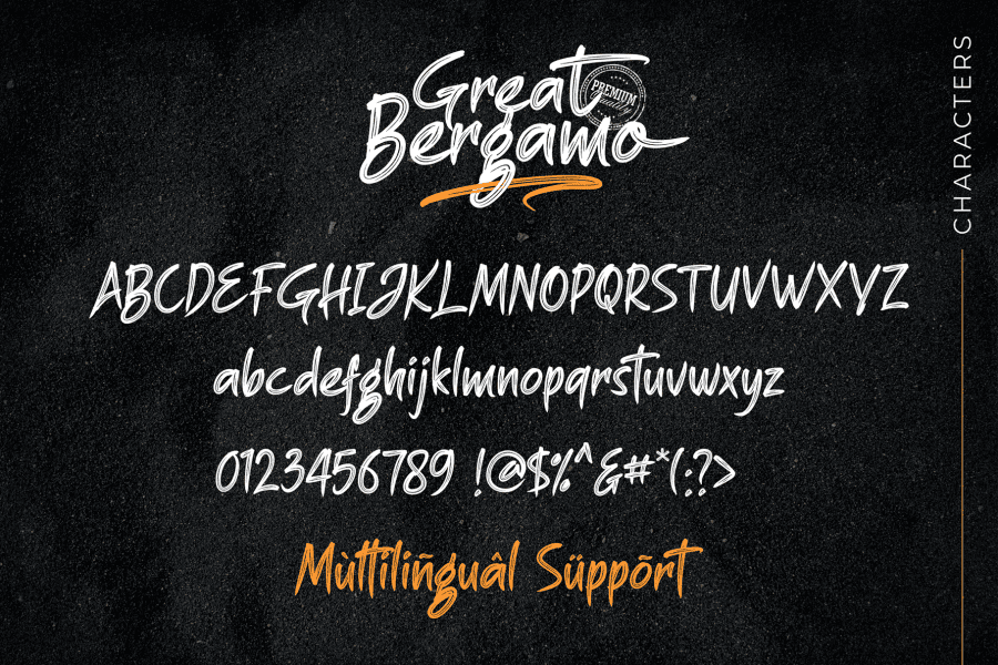 Bergamo Font Free Thorlabs Bergamo Logo Vector (.SVG + .PNG)