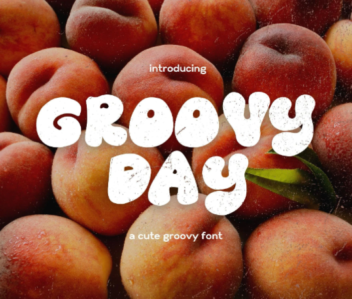 Groovy Day Font · 1001 Fonts