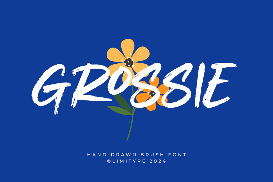 Grossie DEMO Font · 1001 Fonts