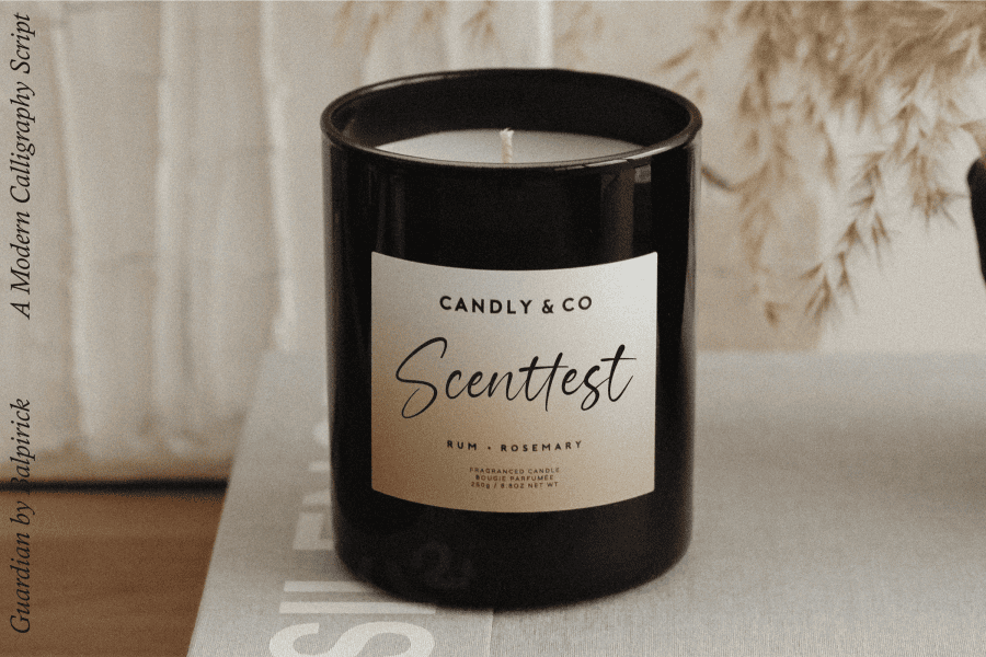 Guardian Font · 1001 Fonts