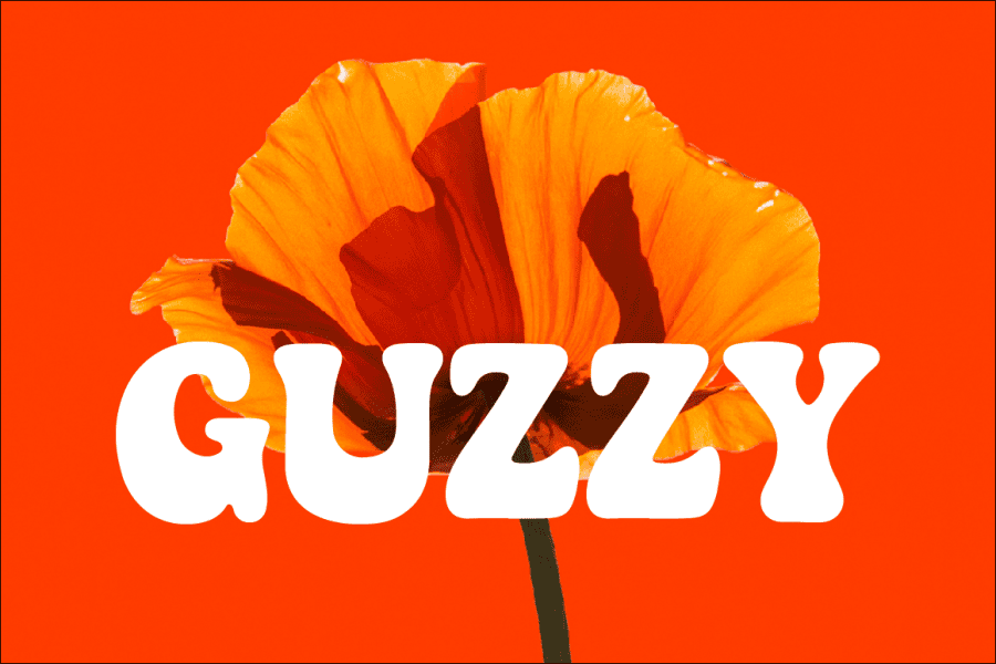 Guzzy Font · 1001 Fonts