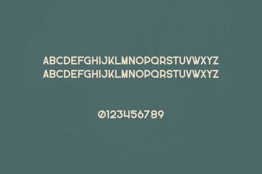 Gwyneth Font · 1001 Fonts