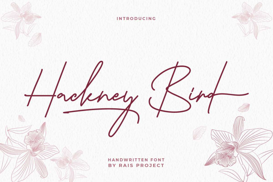 Hackney Bird Demo Font · 1001 Fonts