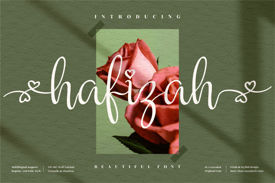 hafizah Font Family · 1001 Fonts