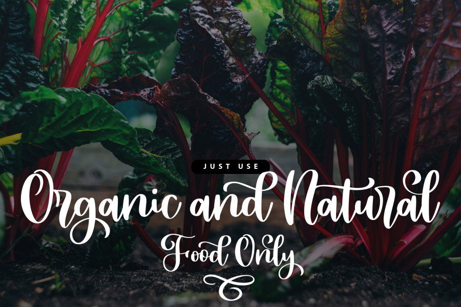 Hailey Script Font · 1001 Fonts