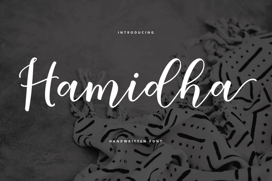 Hamidha Font · 1001 Fonts