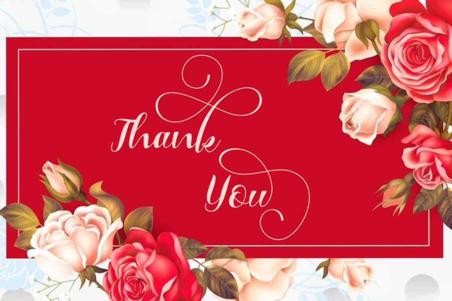 Handsome Script Font · 1001 Fonts