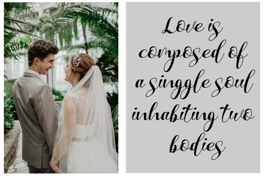 Handsome Script Font · 1001 Fonts