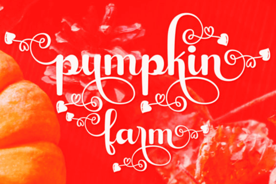 Hannah Font Family · 1001 Fonts