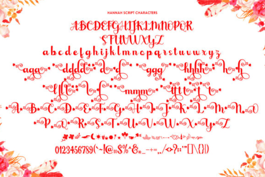 Hannah Font Family · 1001 Fonts
