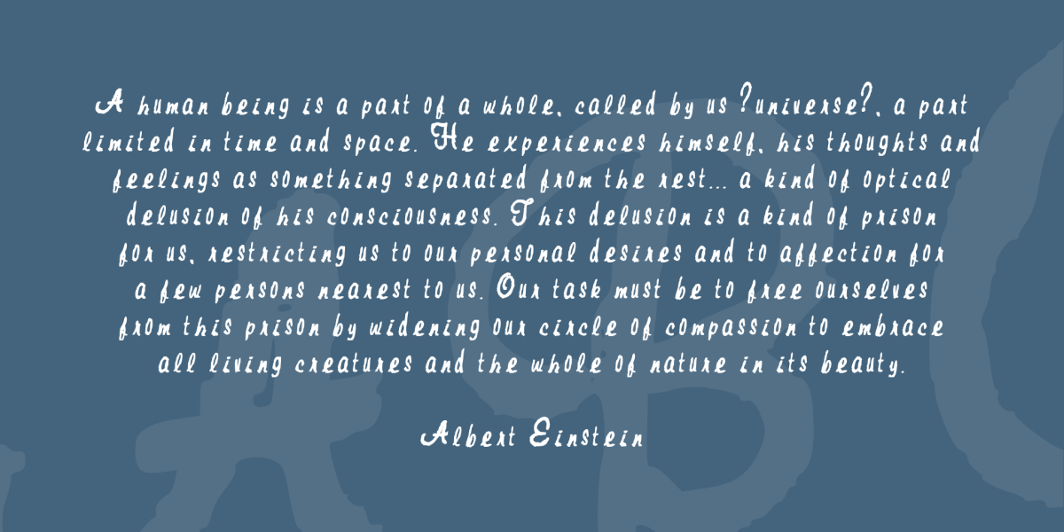 Hannibal Black Font · 1001 Fonts