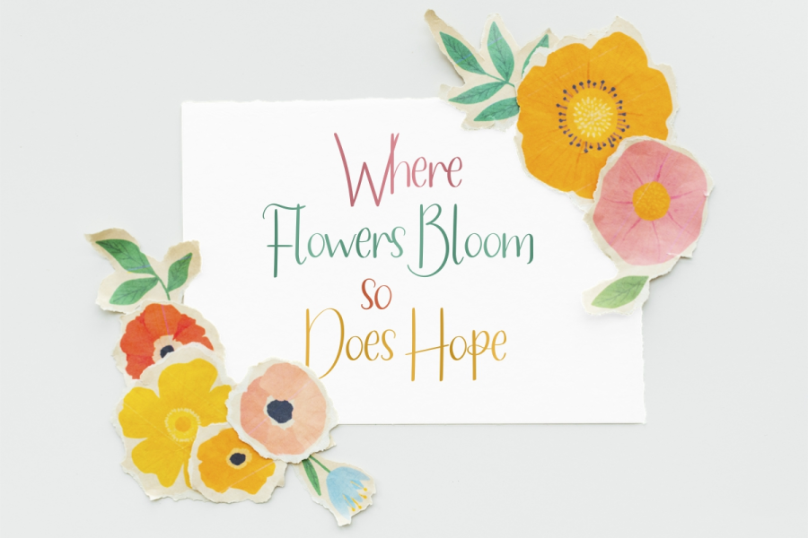 2 Free Brand Identity, Display, Famous, Logotype Fonts · 1001 Fonts