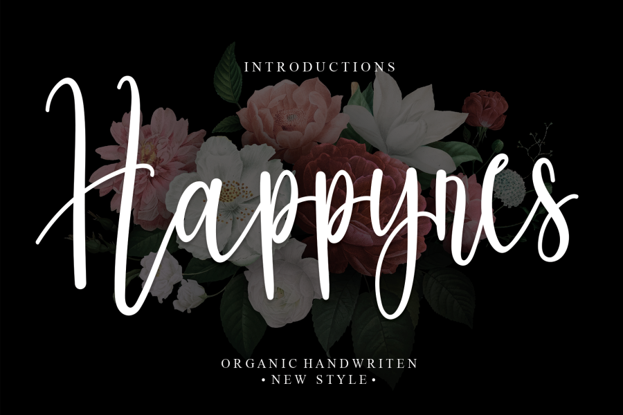 Happynes Font · 1001 Fonts