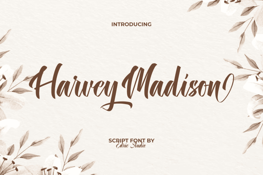 Harvey Madison Demo Font · 1001 Fonts