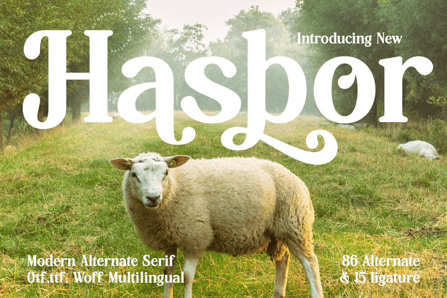 Hasbor Font · 1001 Fonts