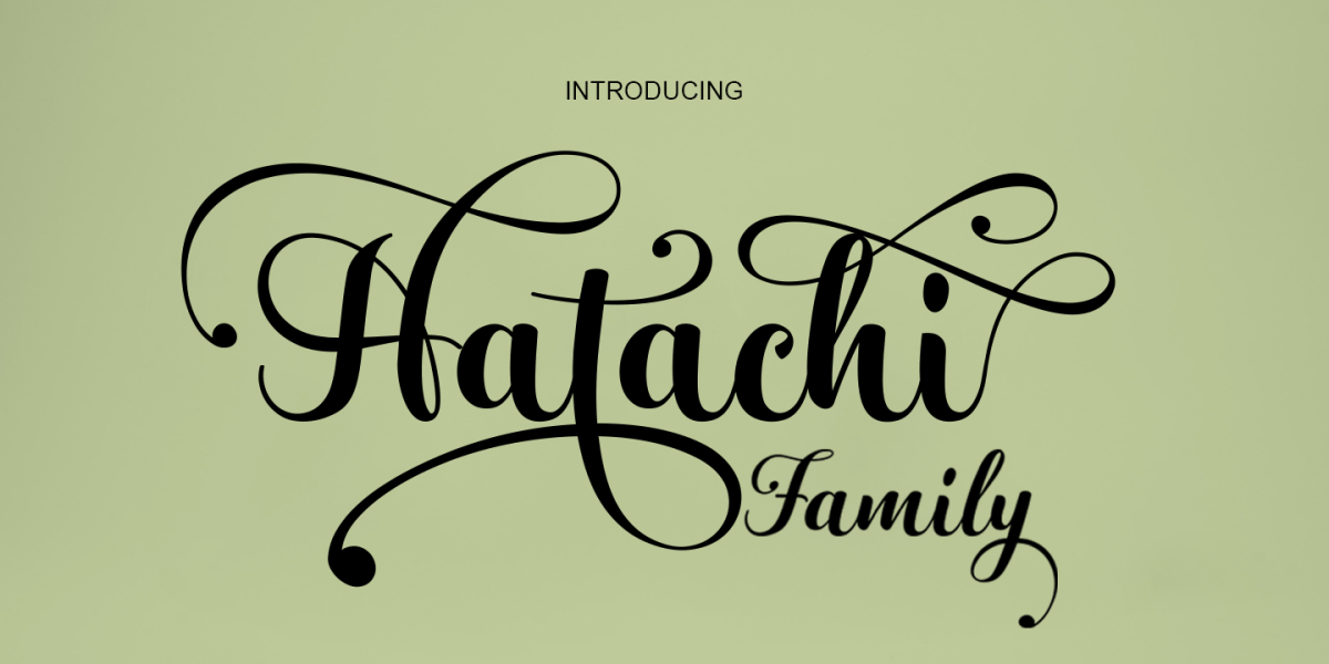Hatachi Font · 1001 Fonts