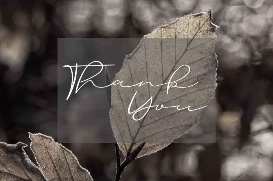 Hatching Love Demo Font · 1001 Fonts