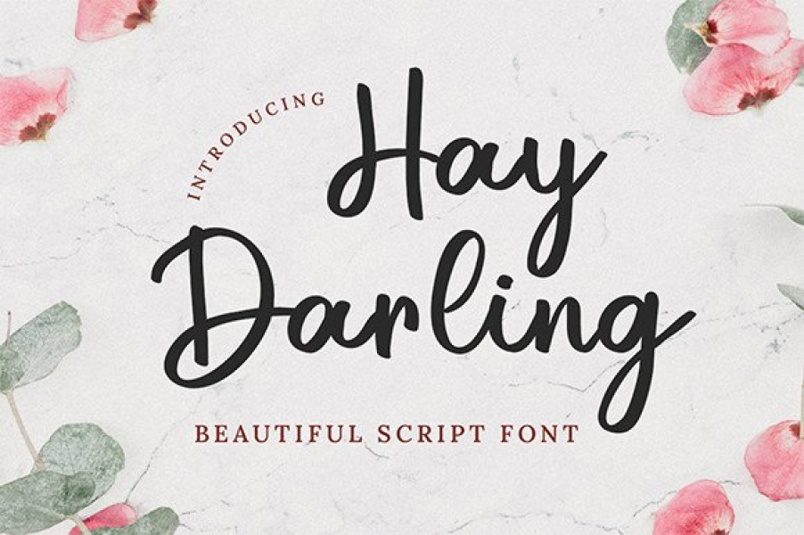Hay Darling Font · 1001 Fonts