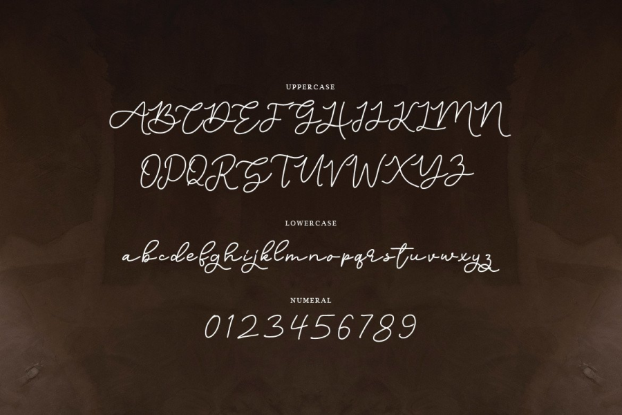 6 Free Elegant, Postcard, Signature Fonts · 1001 Fonts