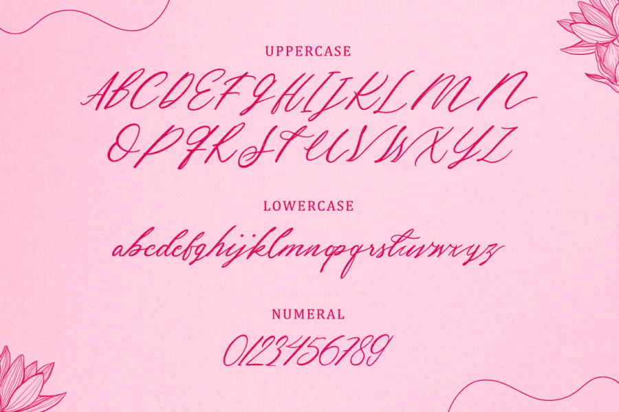 6 Free Elegant, Postcard, Signature Fonts · 1001 Fonts