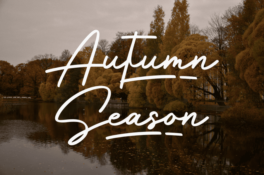 Hillstadts Signature Font · 1001 Fonts