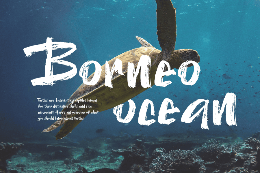 Hogan Brush Font · 1001 Fonts