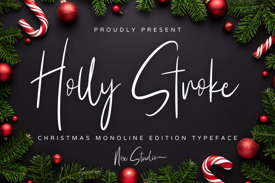 Holly Stroke Font · 1001 Fonts