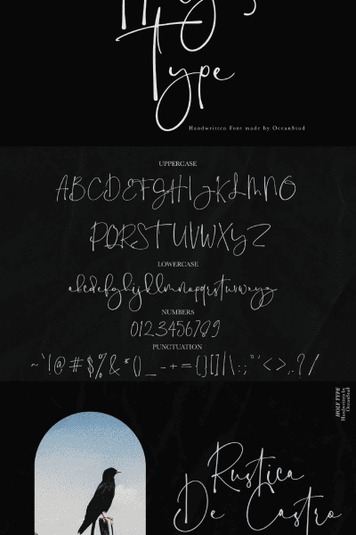 Holy Type Font · 1001 Fonts