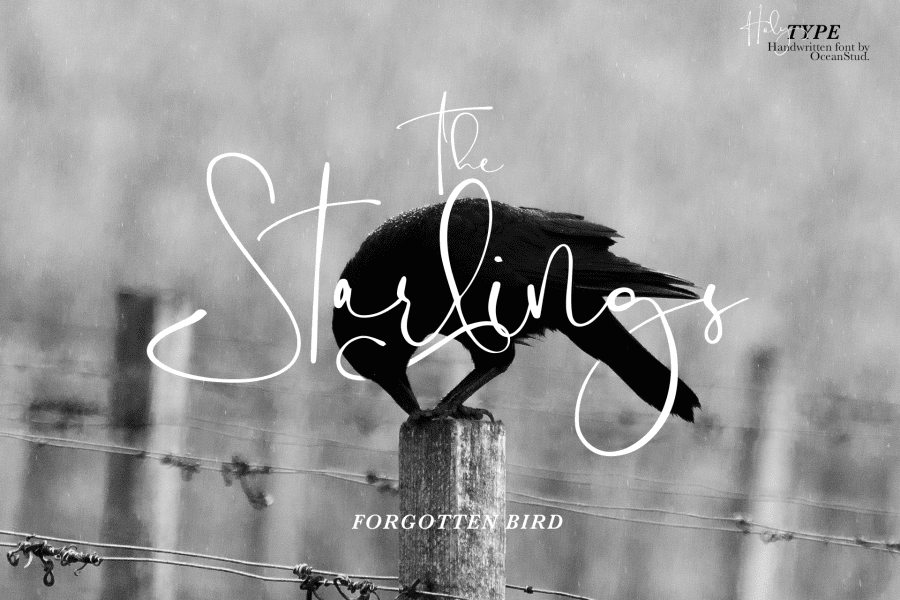 Holy Type Font · 1001 Fonts