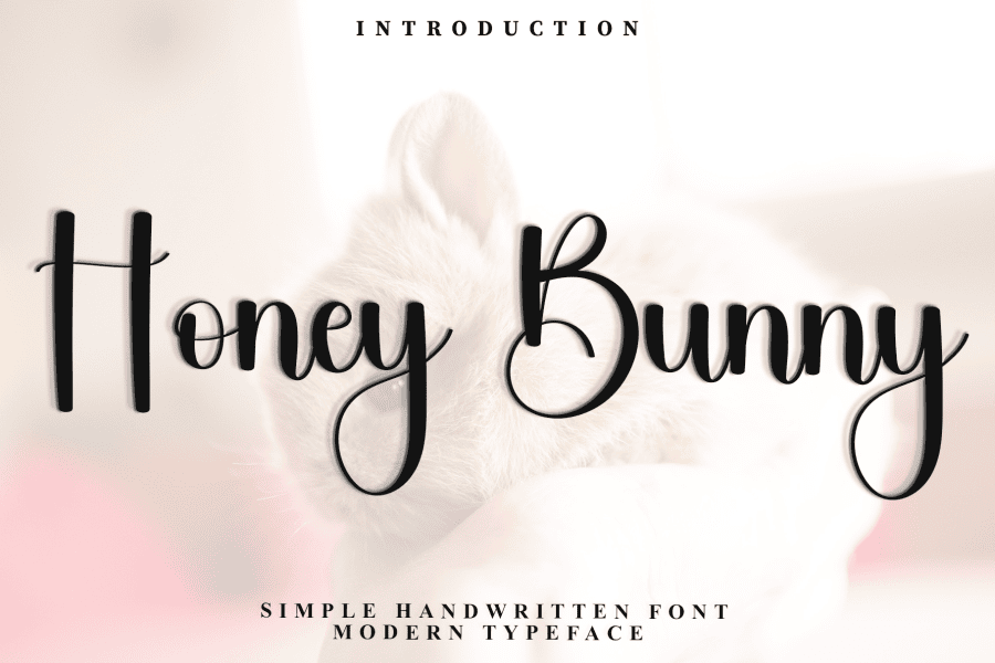 Honey Bunny Font · 1001 Fonts