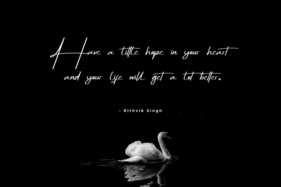 Honofly Font · 1001 Fonts