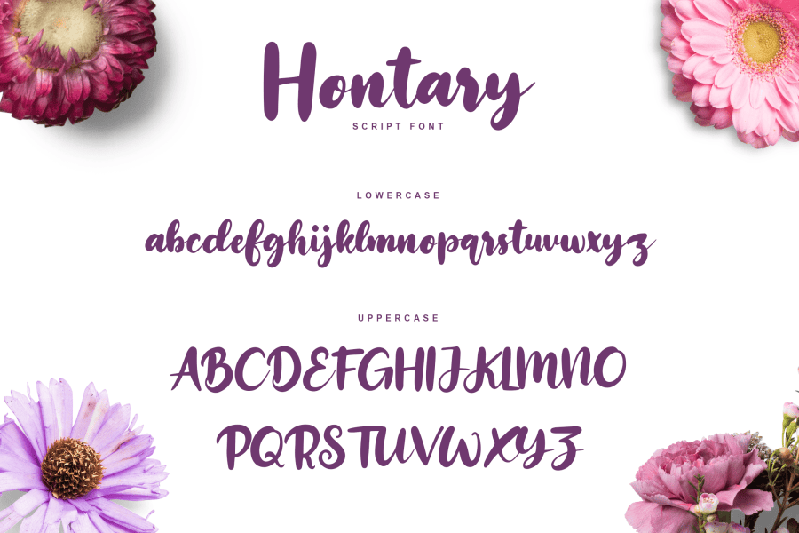 Hontary Font · 1001 Fonts