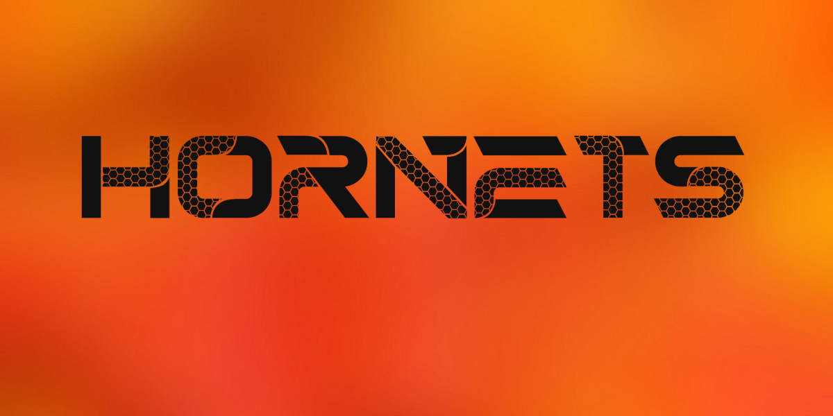 Hornets Font Family · 1001 Fonts