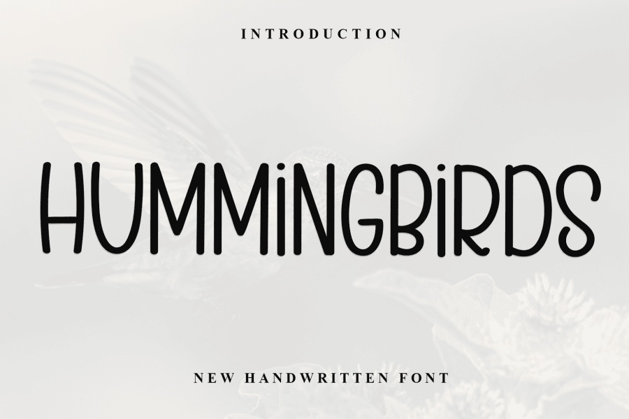 HUMMINGBIRDS Font · 1001 Fonts