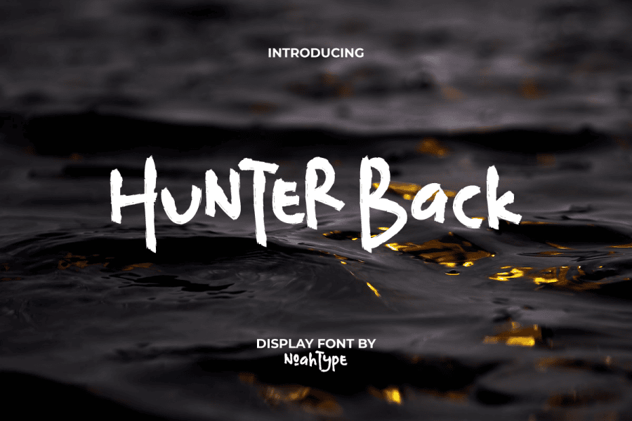 Hunter Back Demo Font · 1001 Fonts