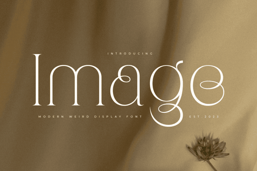 IMAGE Font · 1001 Fonts