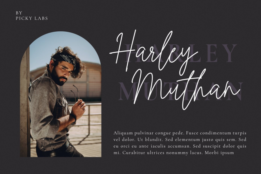 Indiana Signature Font · 1001 Fonts