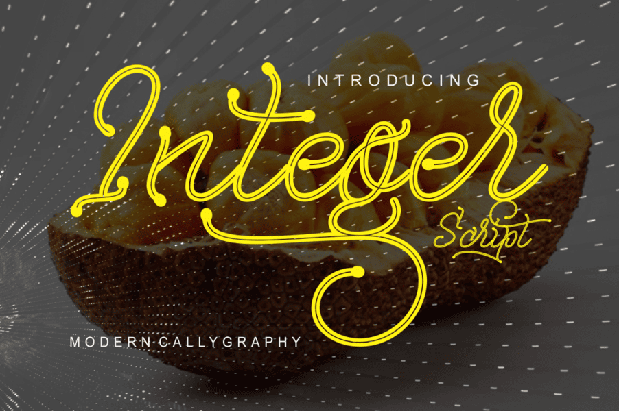 Integer Font Family · 1001 Fonts